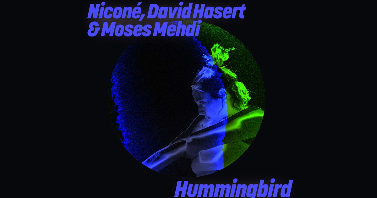 Hummingbird by Niconé, David Hasert & Moses Mehdi - Out Now on Get ...