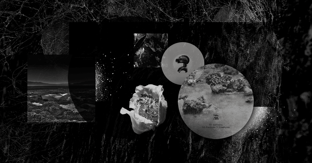 Label of the Month: Stroboscopic Artefacts